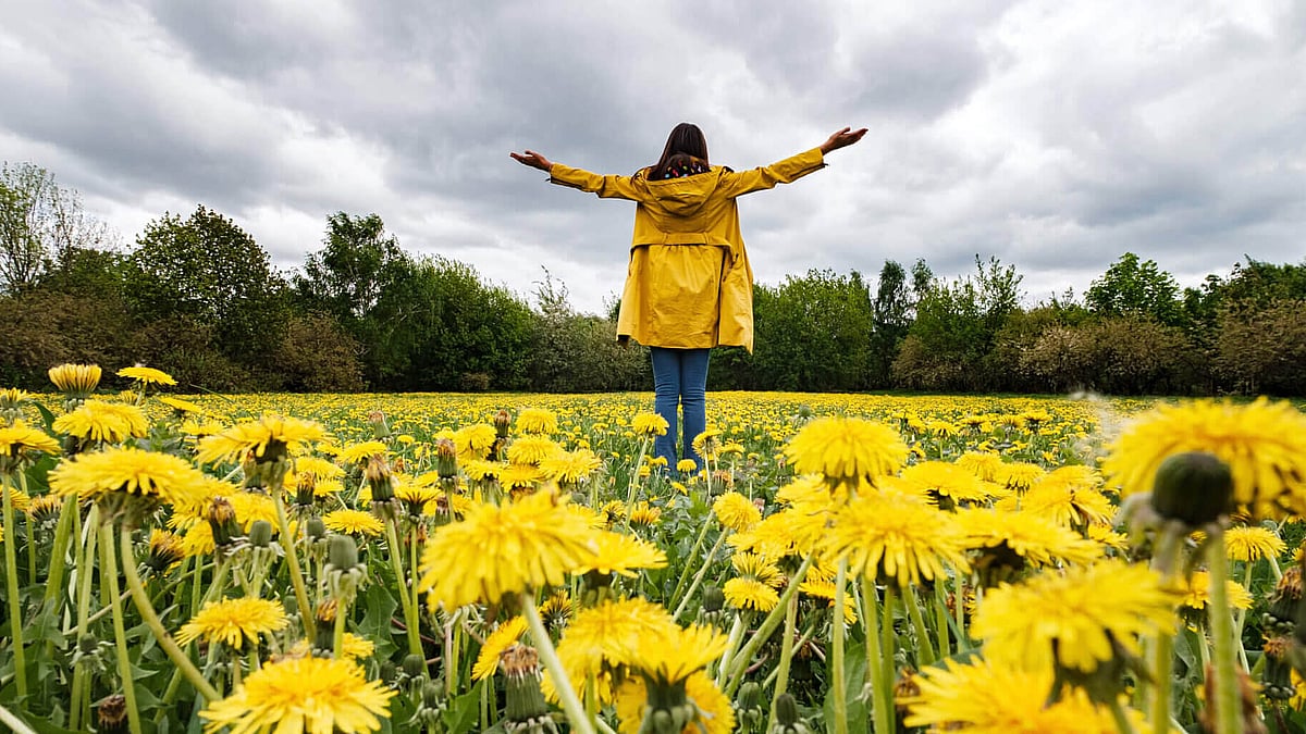 National Dandelion Day (April 5th) | Days Of The Year