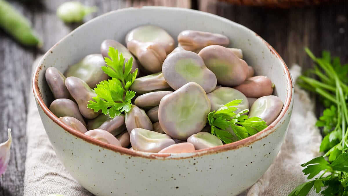 National Lima Bean Respect Day (April 20th) | Days Of The Year