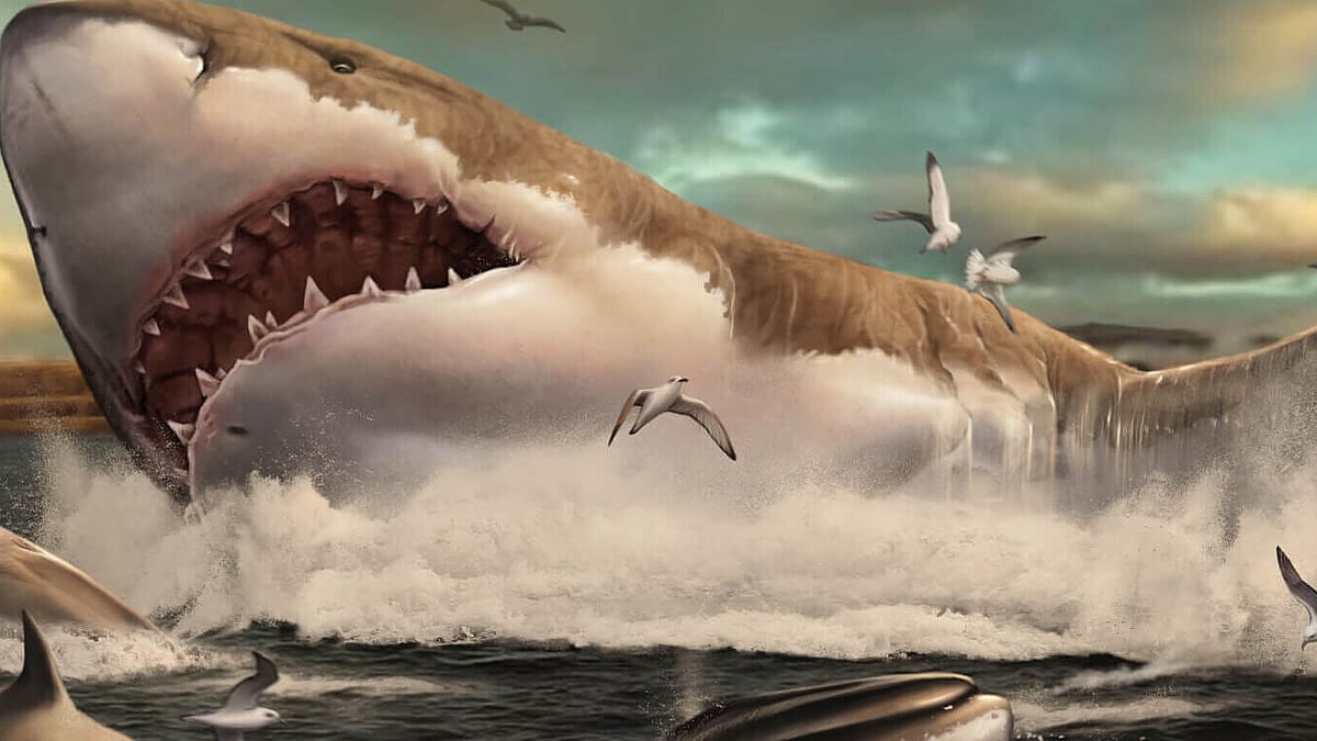 National Megalodon Day (June 15th) | Days Of The Year
