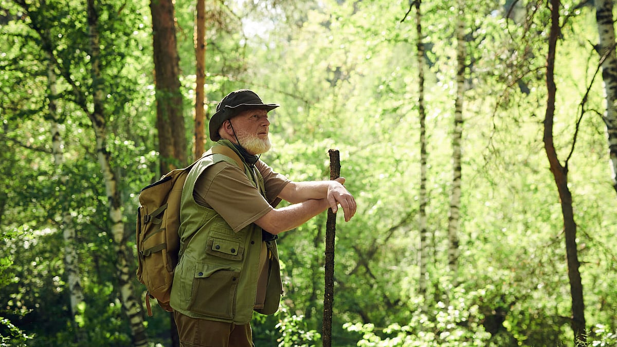 National Park Service Founders Day (August 25th) | Days Of The Year