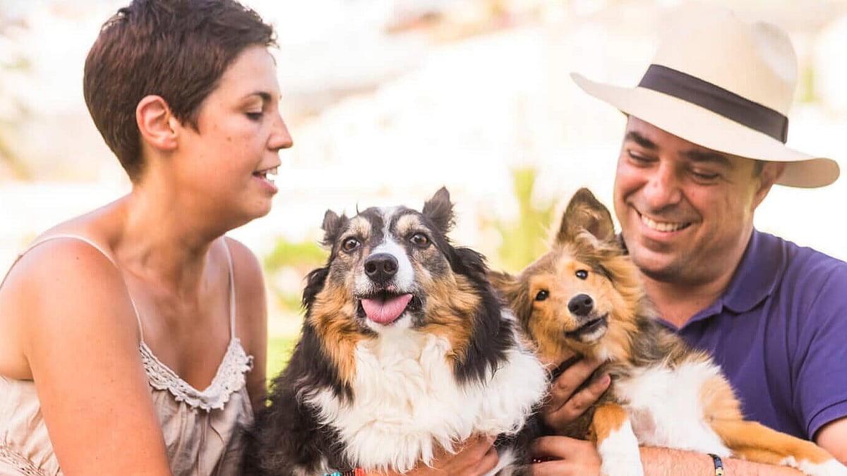 National Pet Parents Day (April 26th, 2026) | Days Of The Year