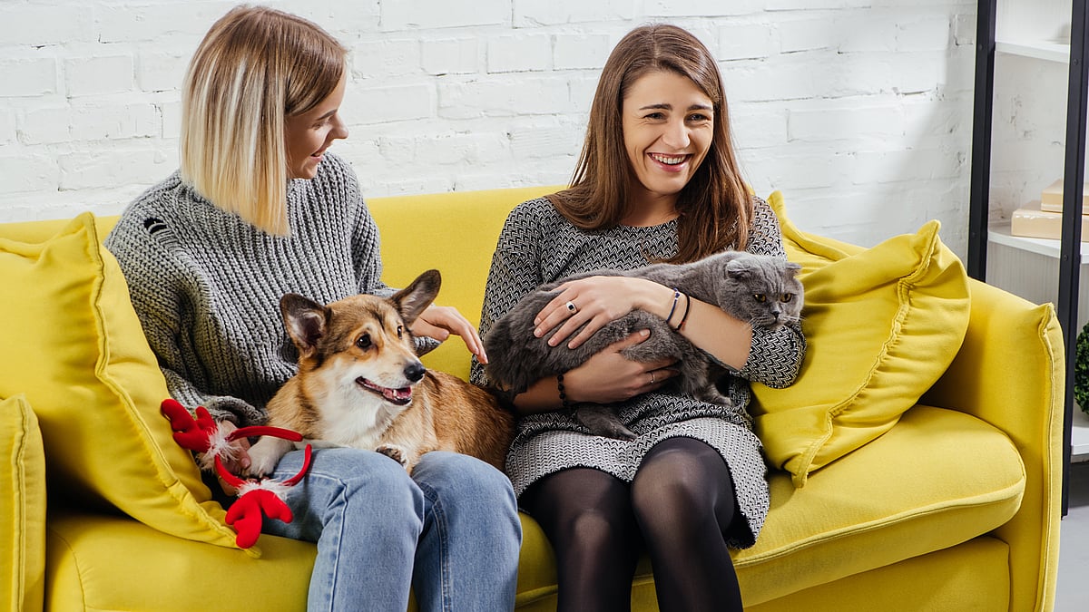 National Pet Week (May 3rd to May 9th) | Days Of The Year