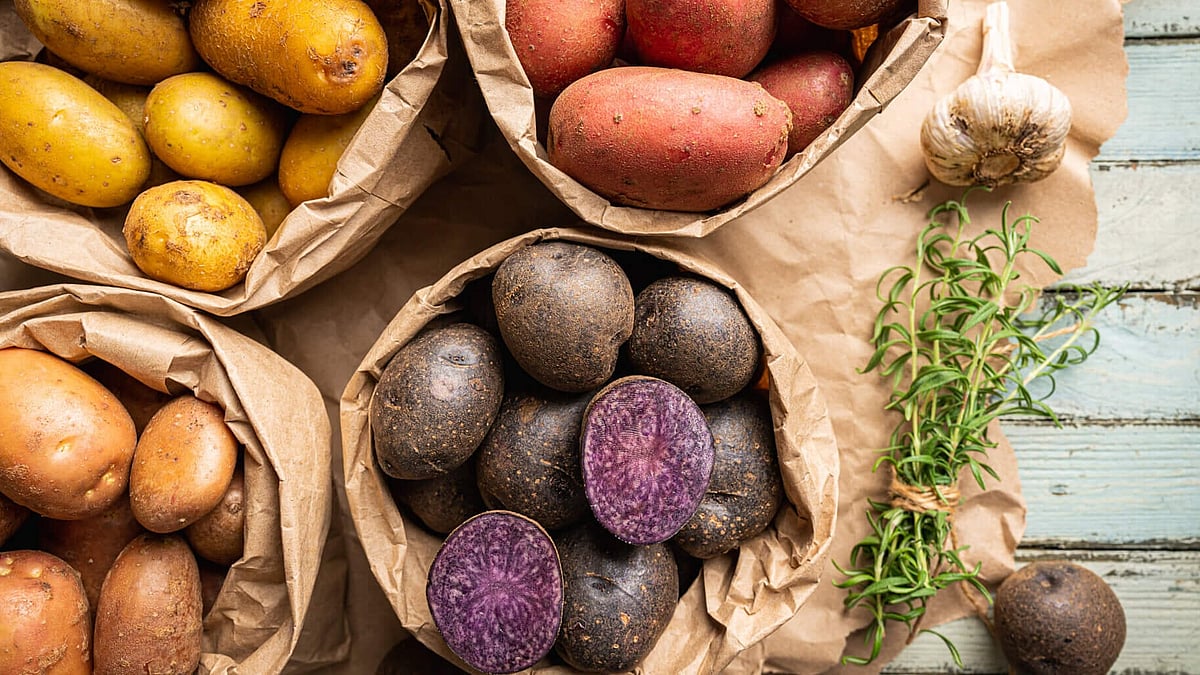 National Potato Month (September 2026) | Days Of The Year