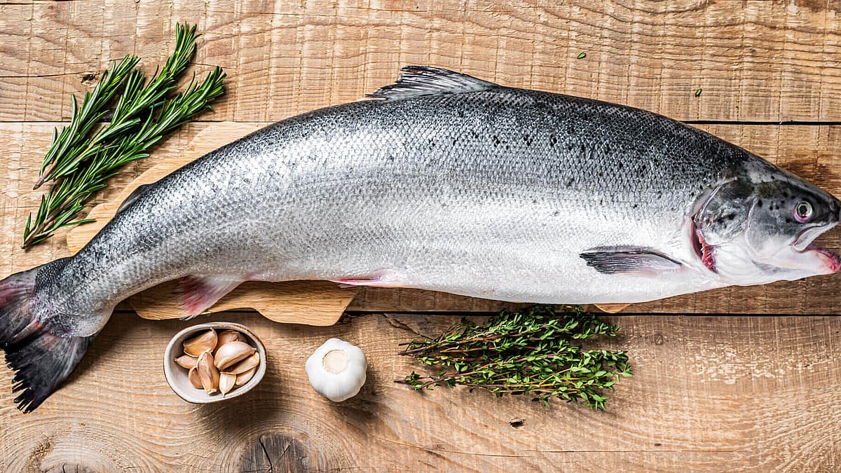 National Salmon Day (October 8th) | Days Of The Year