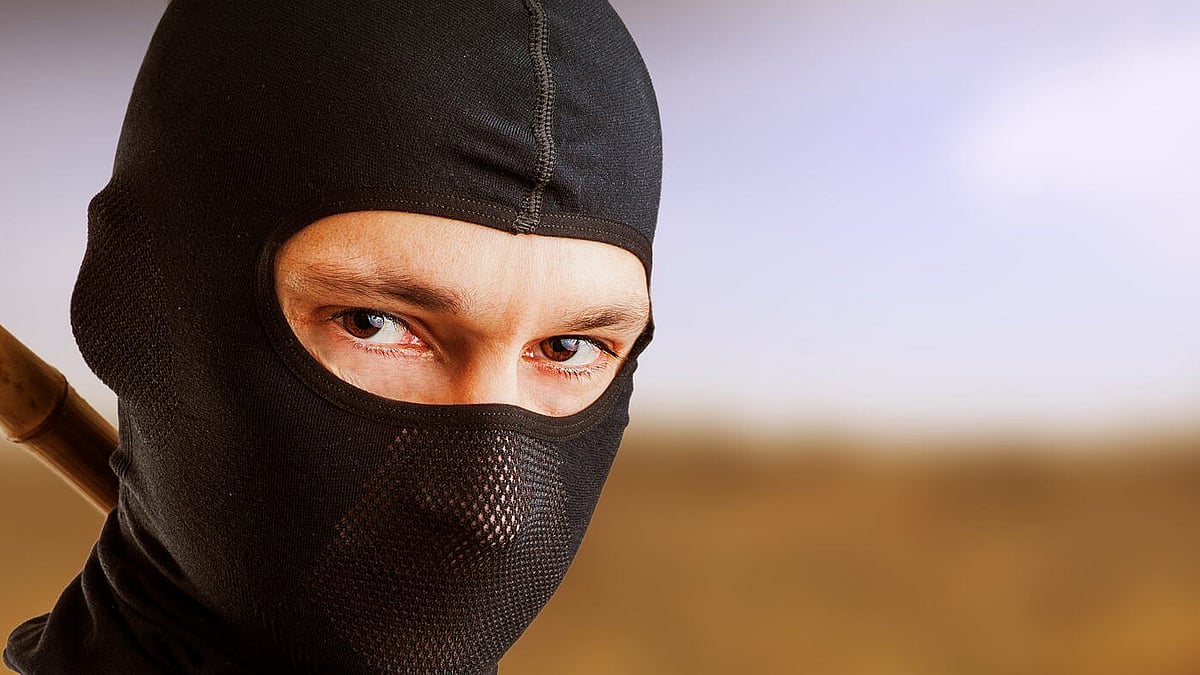 International Ninja Day (December 5th) | Days Of The Year