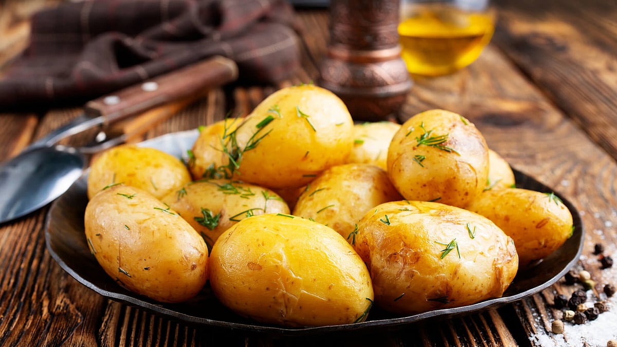 National Tater Day (March 31st) | Days Of The Year