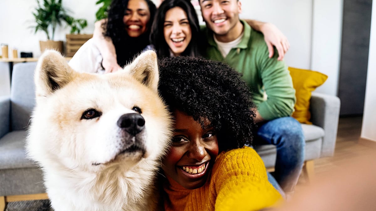 Responsible Animal Guardian Month (May 2026) | Days Of The Year