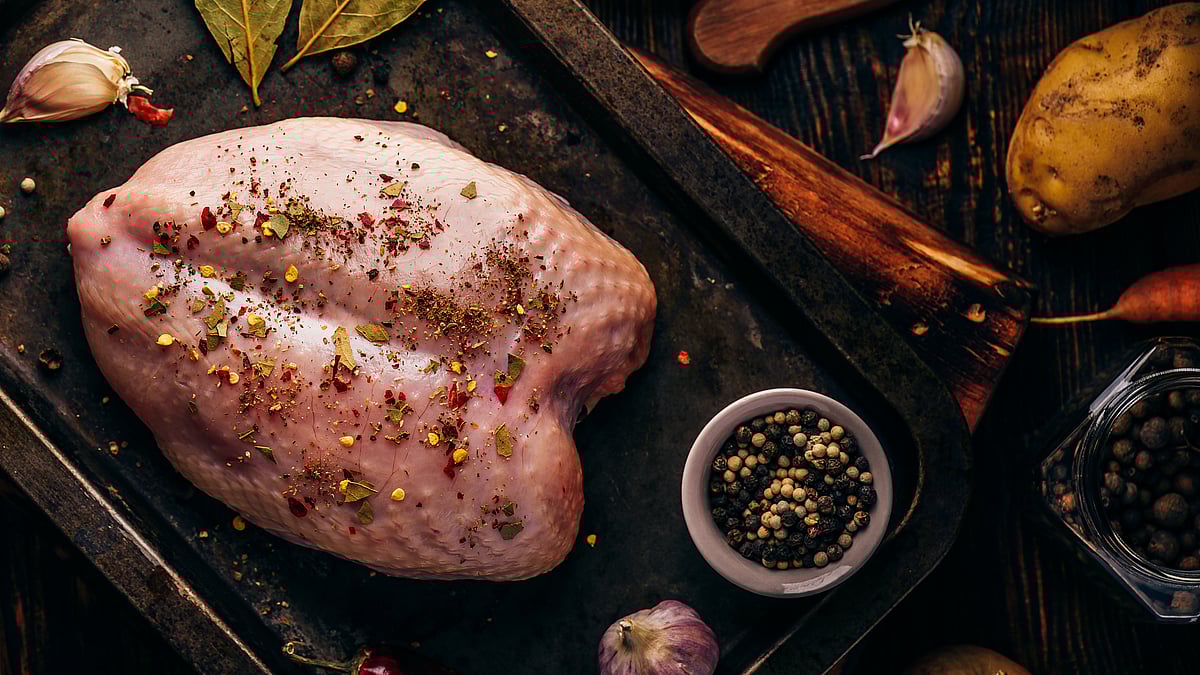 Turkey Lovers Month (June 2026) | Days Of The Year