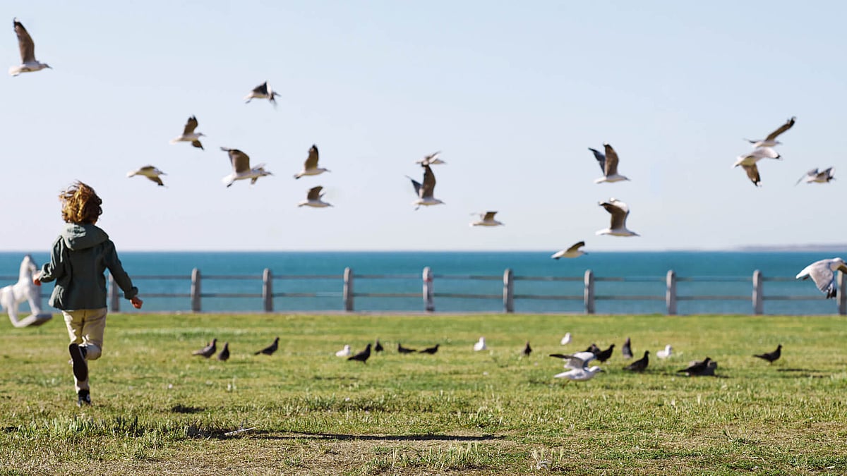Urban National Wildlife Refuge Day (September 29th) | Days Of The Year