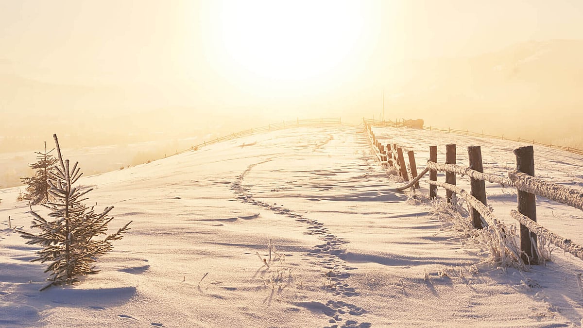 Winter Solstice (December 21st) | Days Of The Year