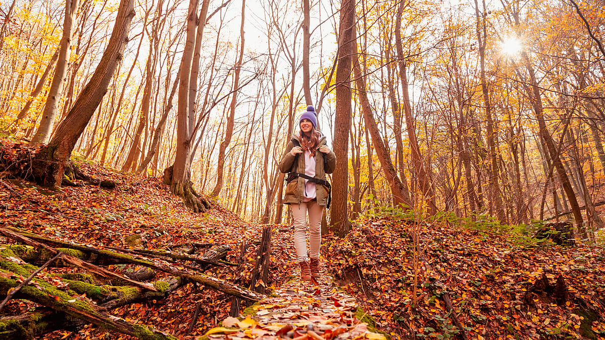 Take a Walk Outdoors Day (January 20th) | Days Of The Year