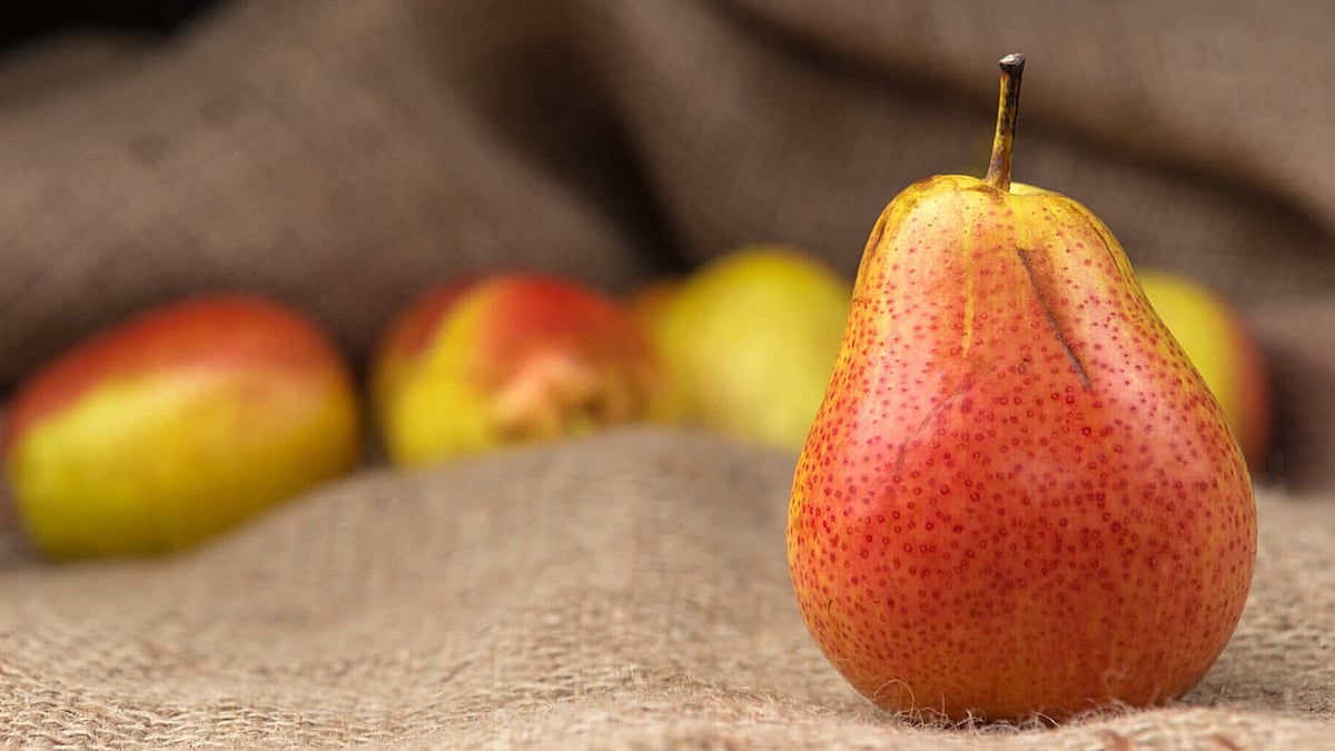 World Pear Day (December 6th, 2025) | Days Of The Year