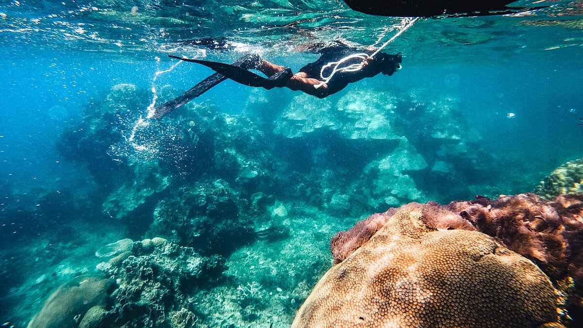 World Snorkeling Day (June 30th) | Days Of The Year