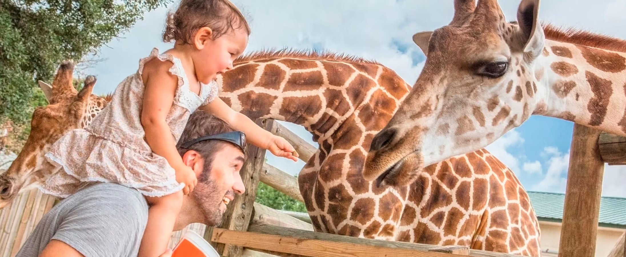 American Zoo Day (July 1st) | Days Of The Year