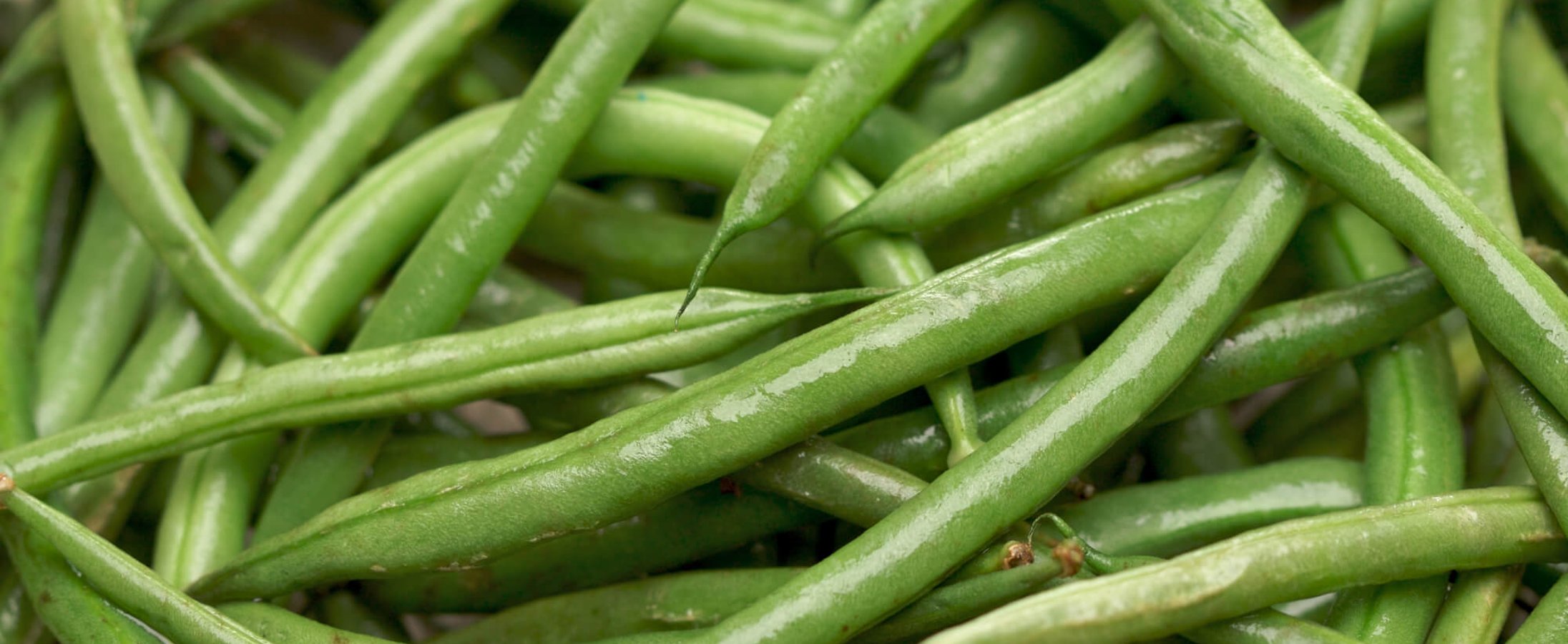 National Bean Day (January 6th) | Days Of The Year