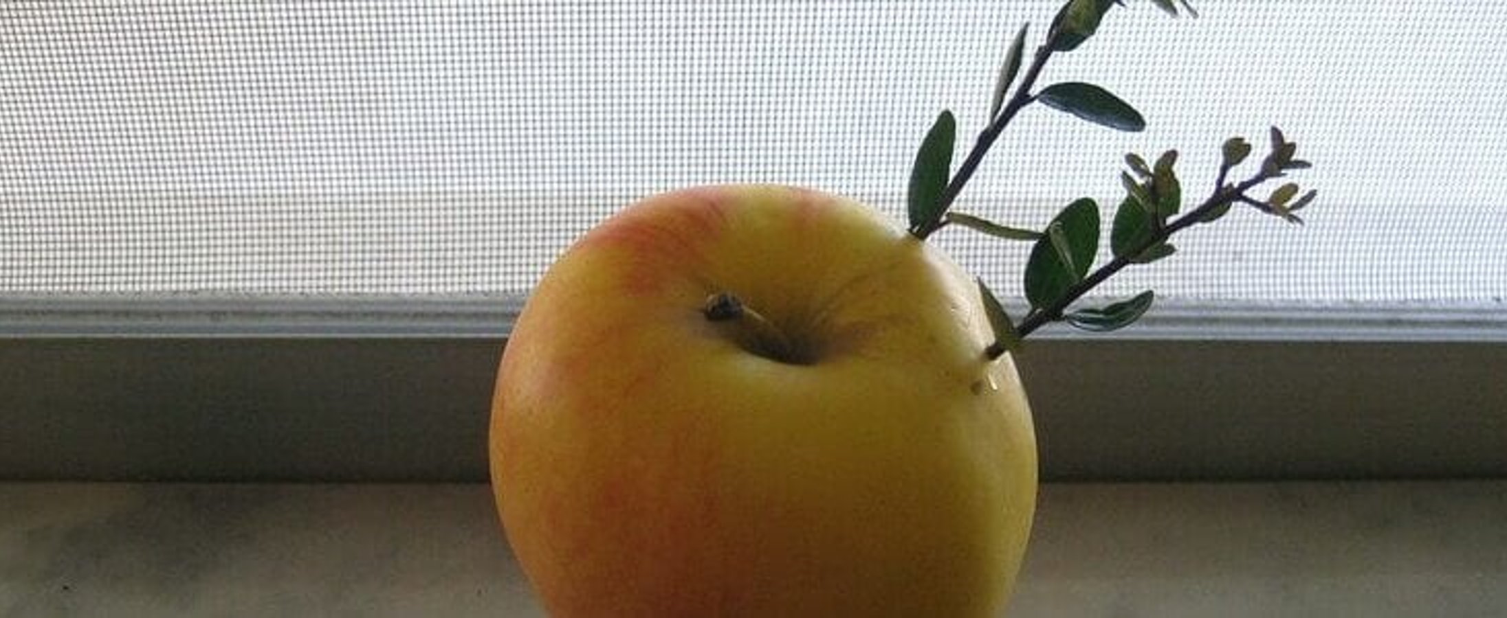 Calennig (January 13th) | Days Of The Year