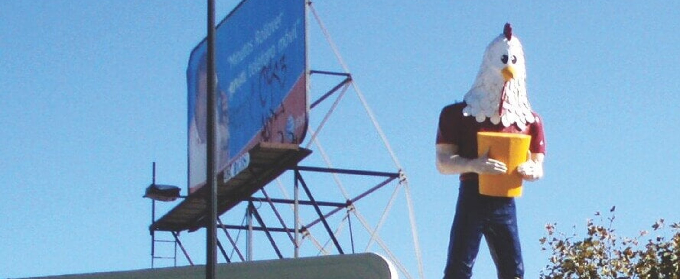 National Chicken Boy Day (September 1st) | Days Of The Year