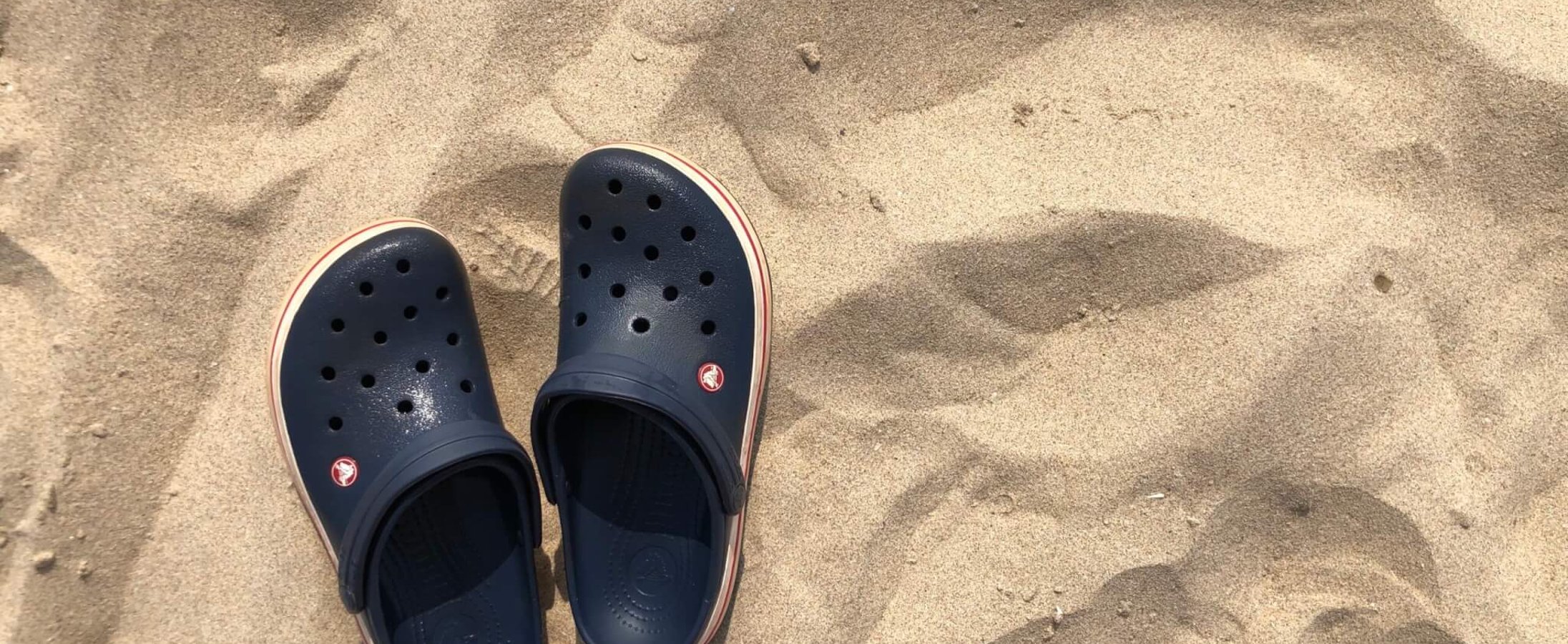 National Croc Day (October 23rd) | Days Of The Year