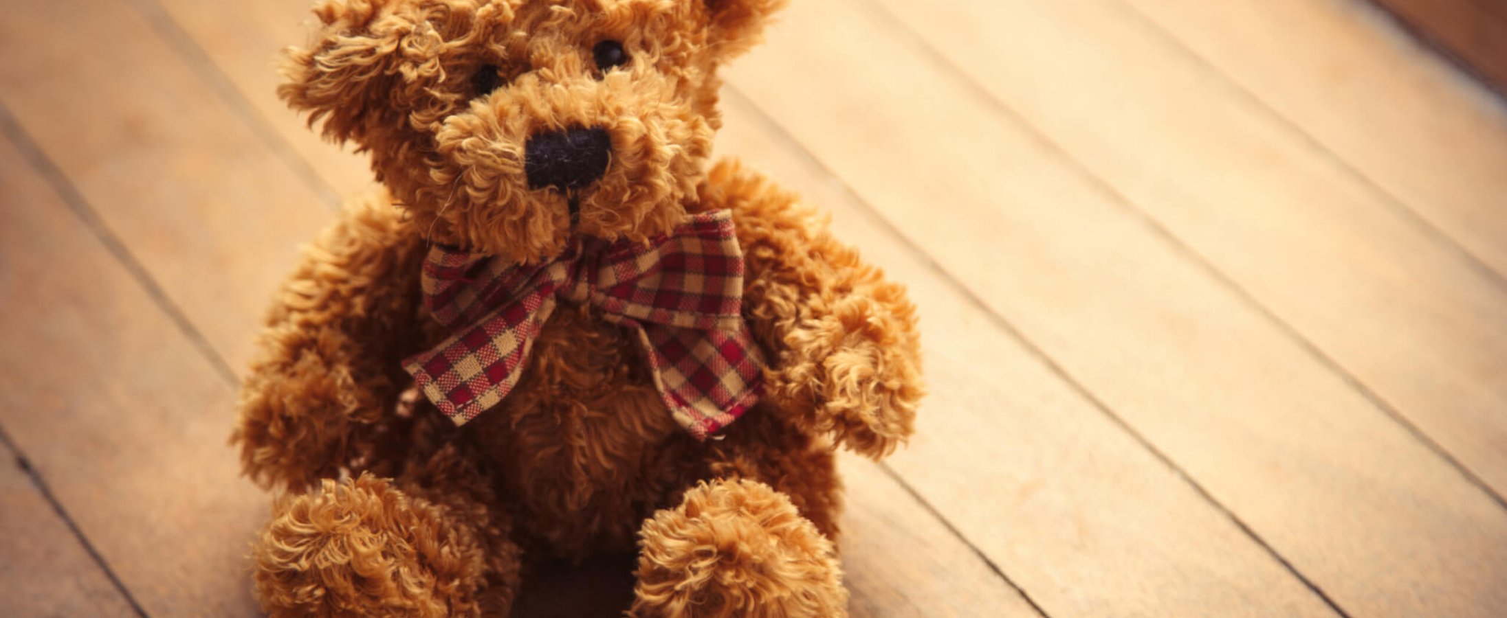 National American Teddy Bear Day (November 14th) | Days Of The Year