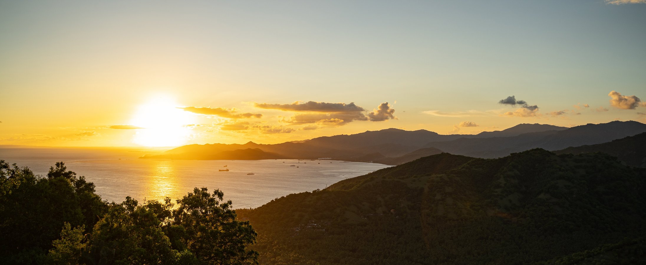 D. Hamilton Jackson Day (November 1st) | Days Of The Year