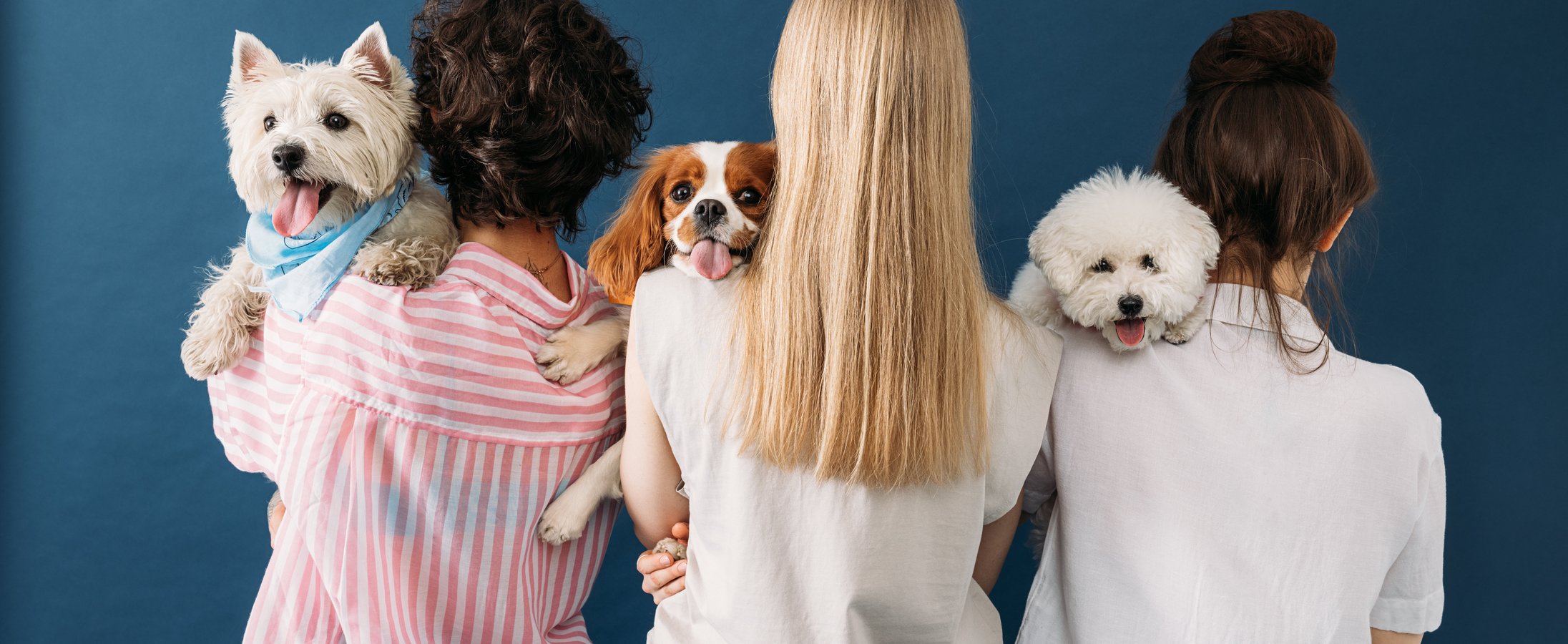 Dog Appreciation Month (April 2026) | Days Of The Year