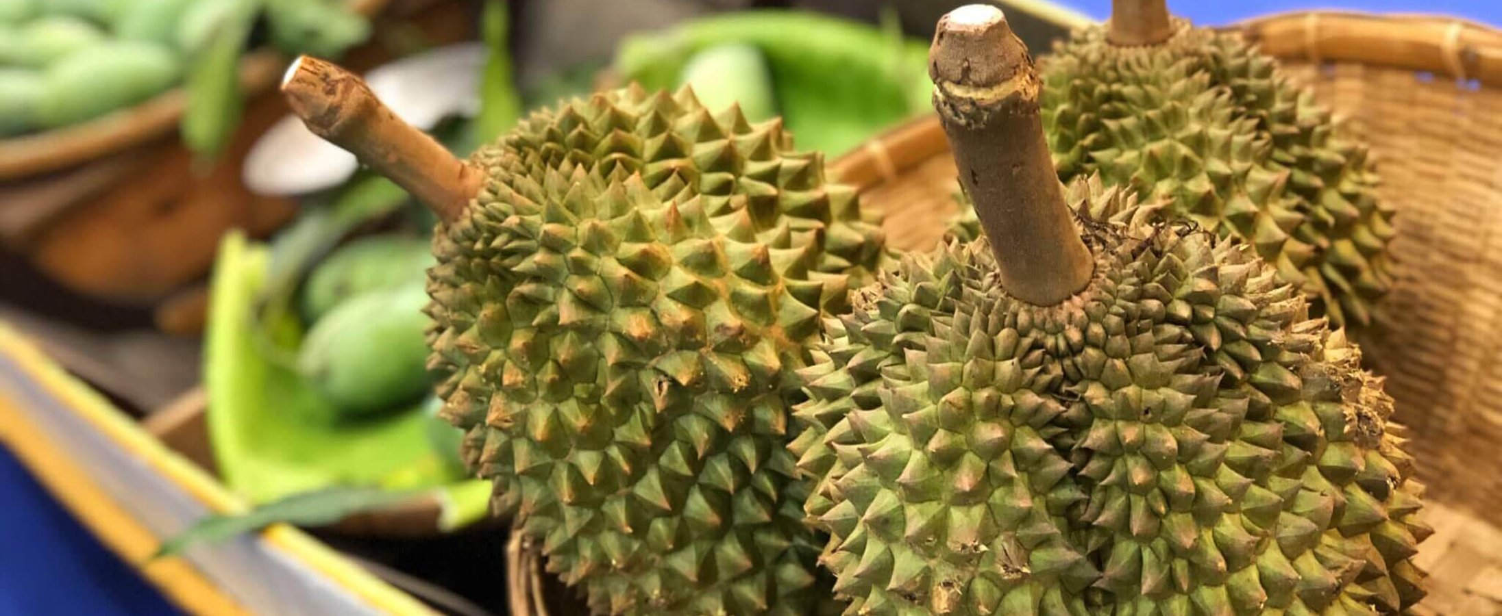 Durian Festival (May 1st to May 5th, 2025) | Days Of The Year