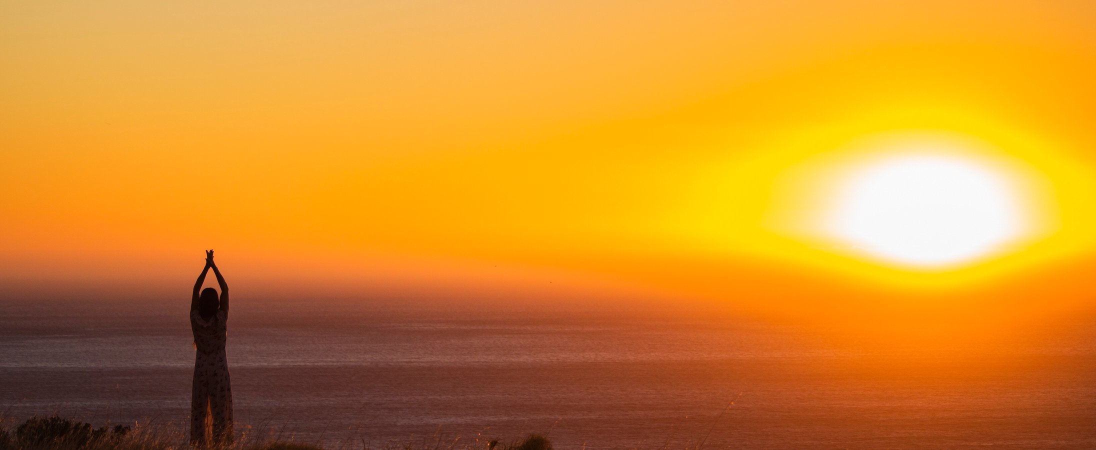 Early Bird Day (July 1st) | Days Of The Year