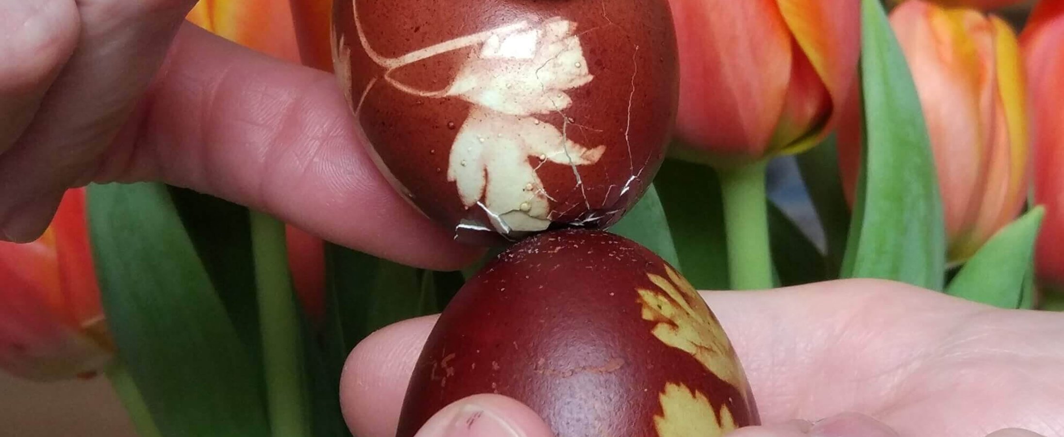 Egg Cracking Competition (April 12th, 2026) | Days Of The Year