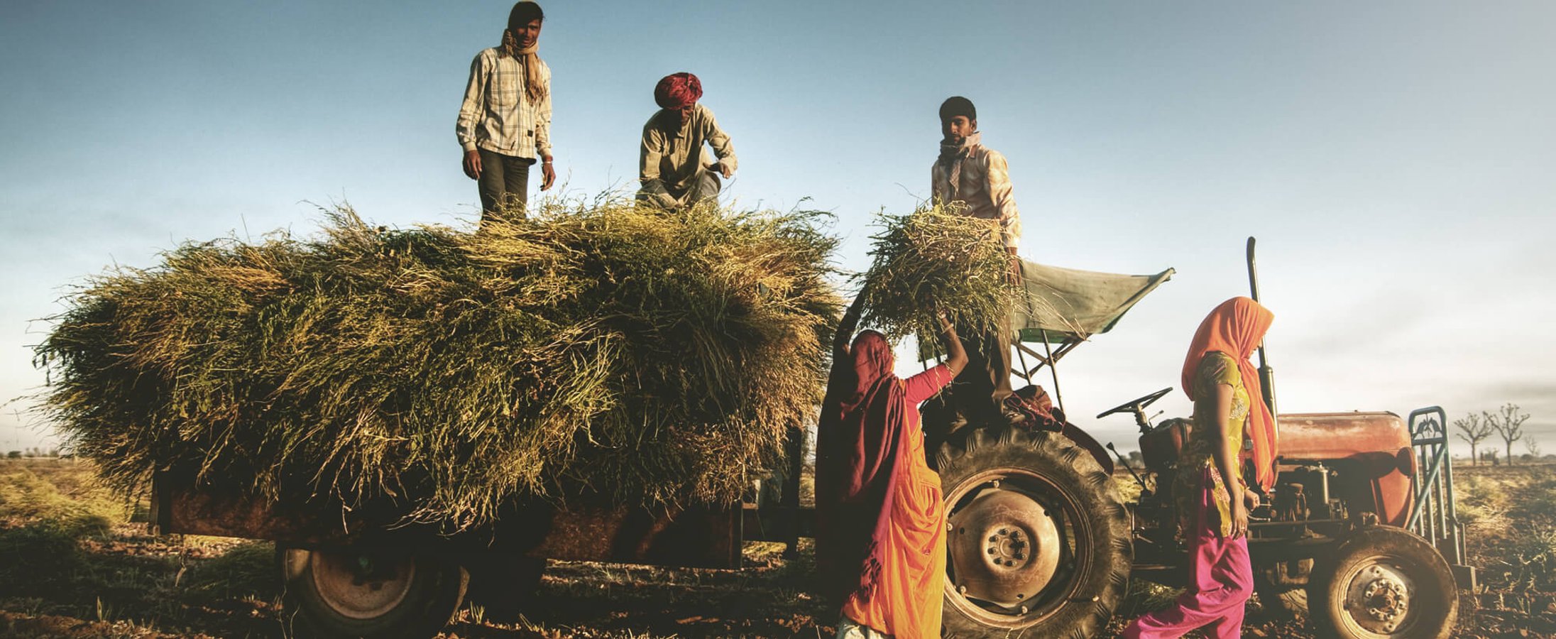 National Farm Workers Day (March 31st) | Days Of The Year
