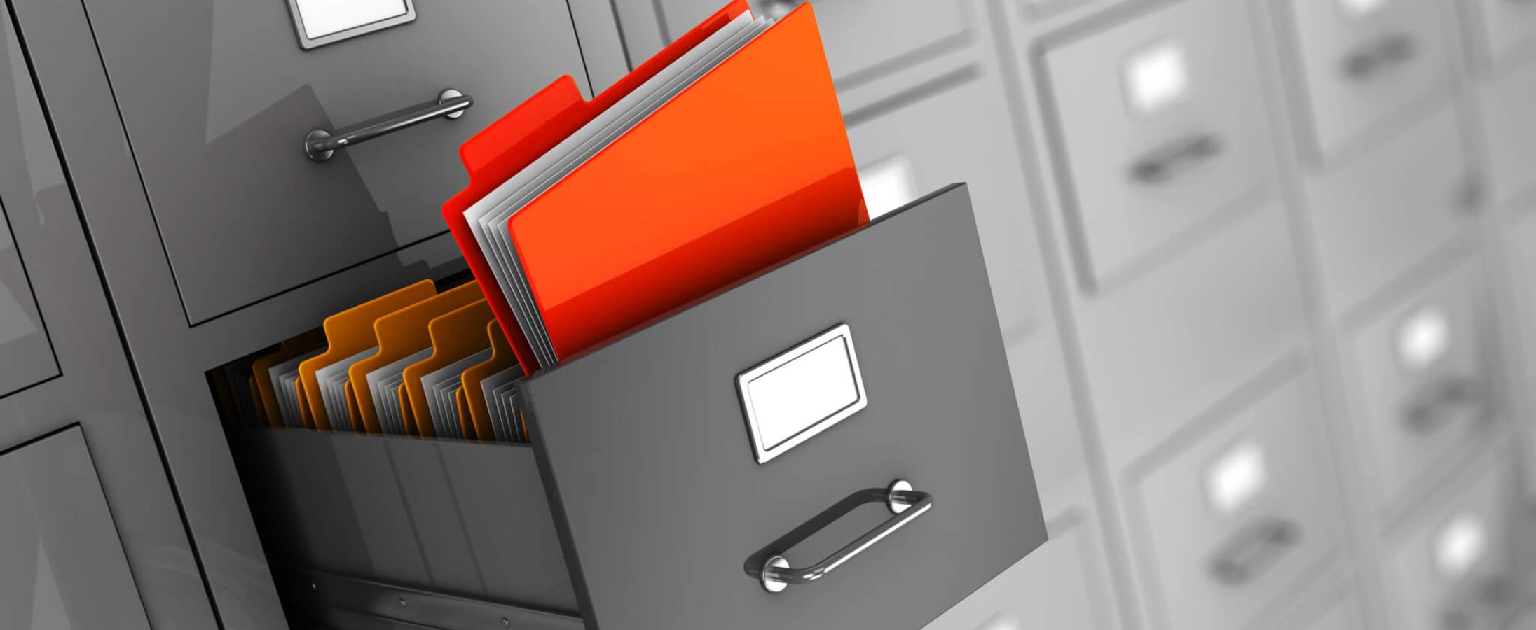 National Freedom Of Information Day (March 16th) | Days Of The Year