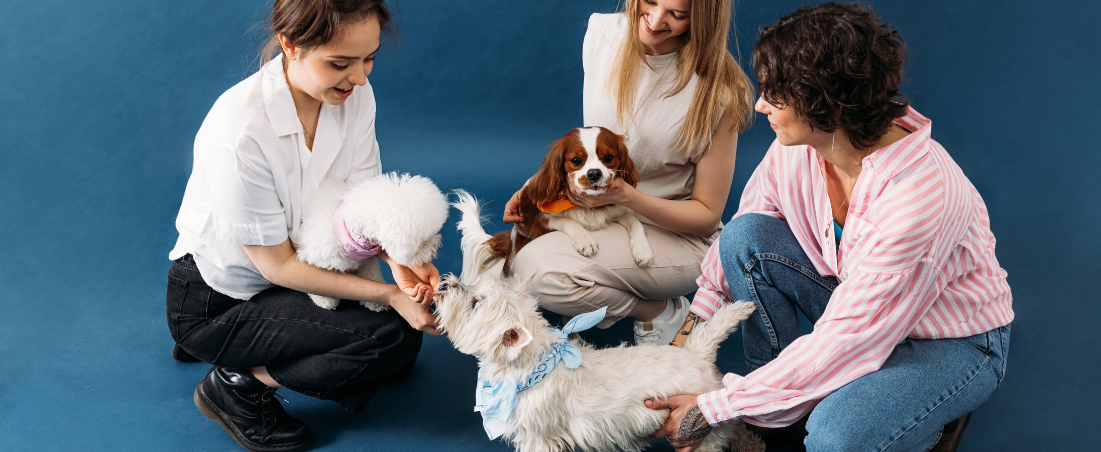 Humane Society Anniversary Day (November 22nd) | Days Of The Year