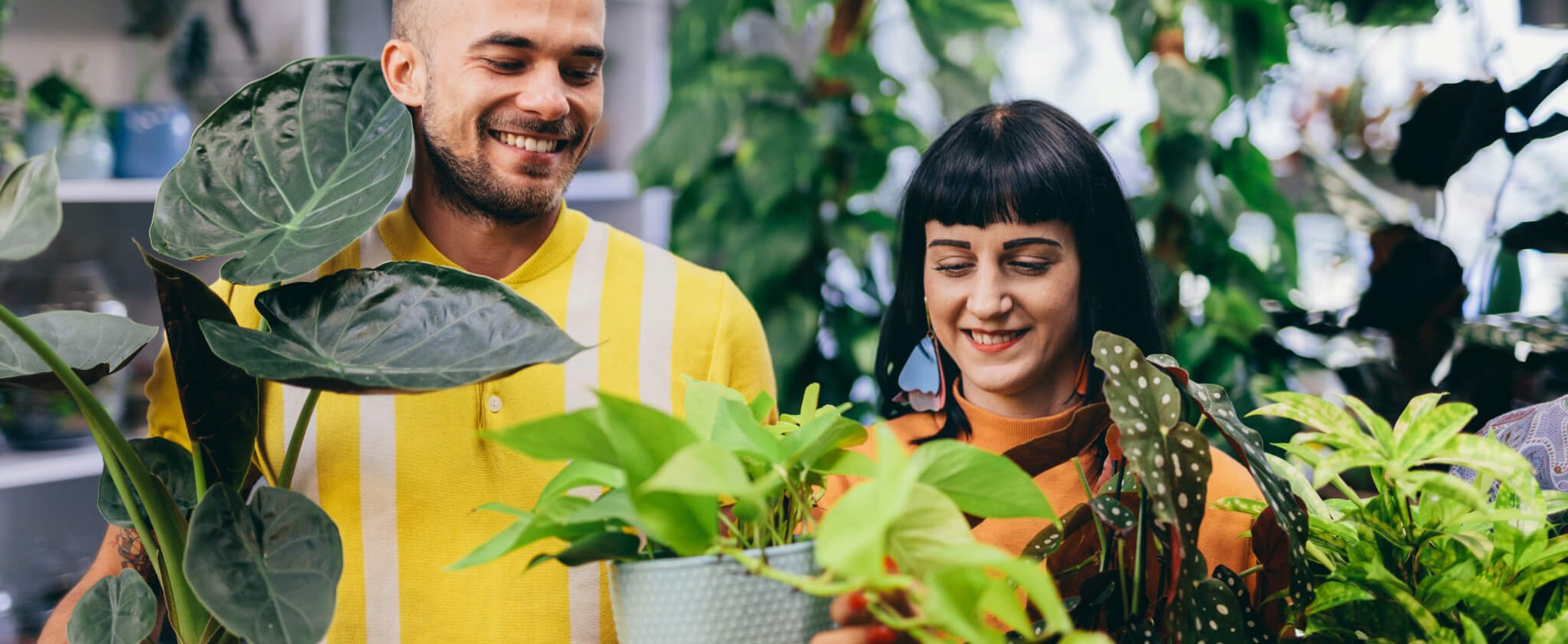 International Day of Plant Health (May 12th) | Days Of The Year