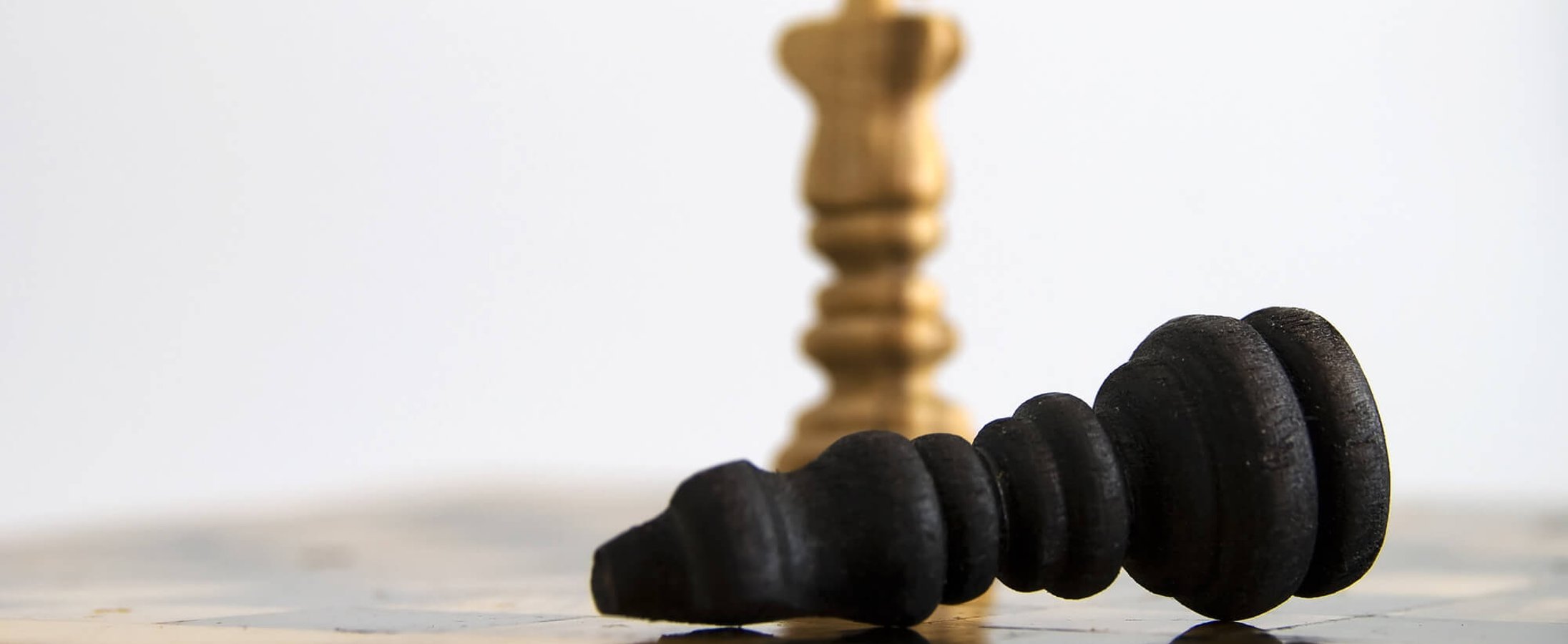 National Lame Duck Day (February 6th) | Days Of The Year