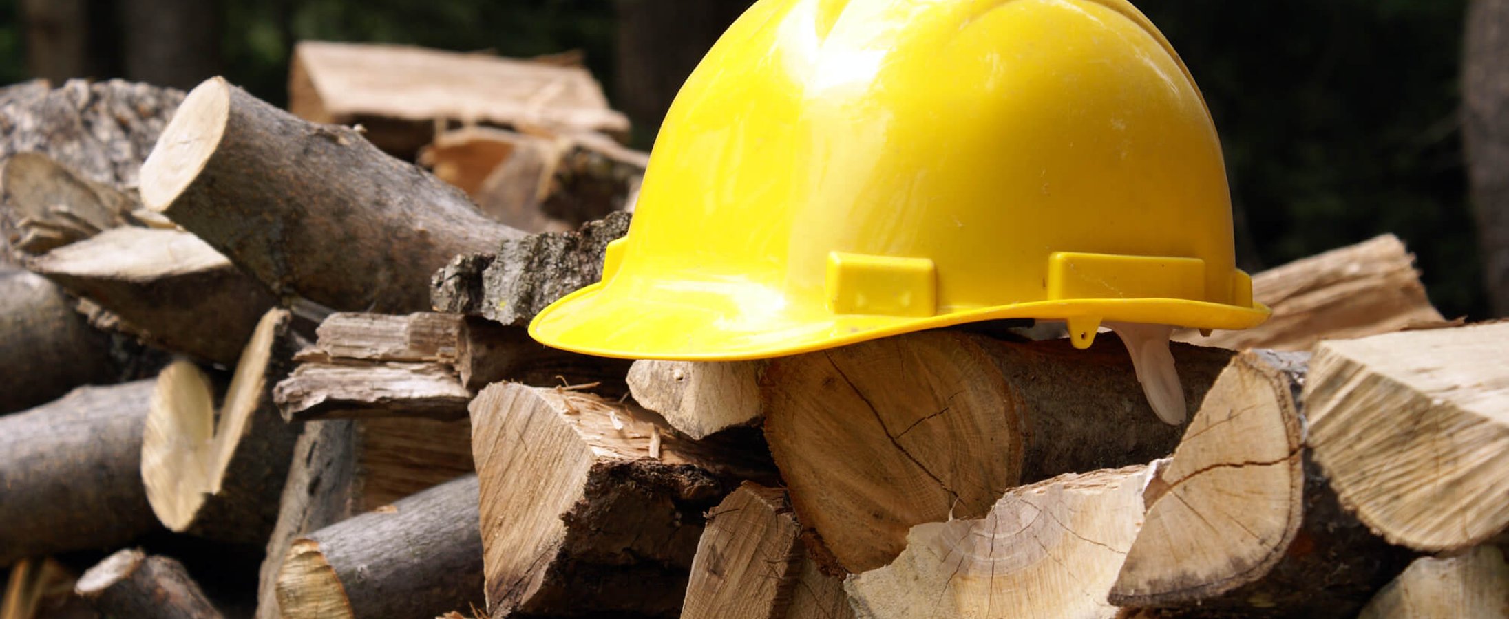 Lumberjack Day (September 26th) | Days Of The Year