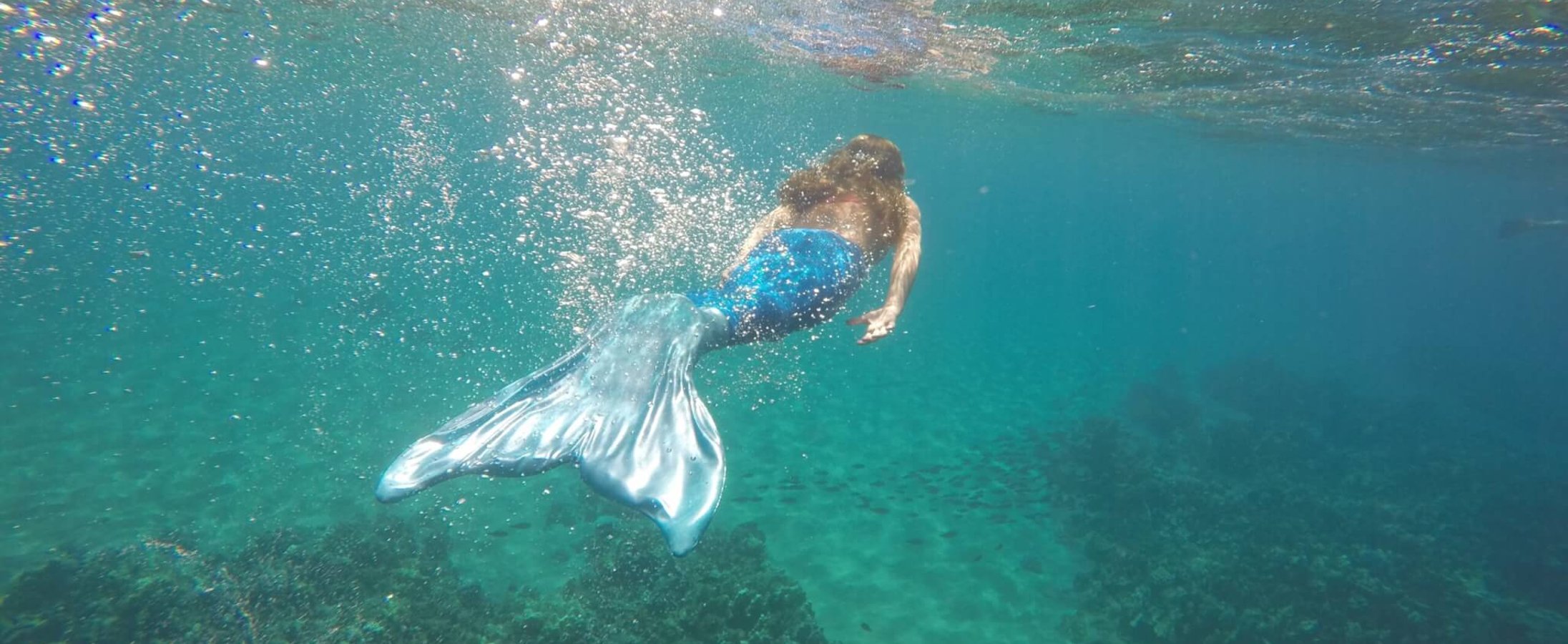 International Mermaid Day (March 29th) | Days Of The Year