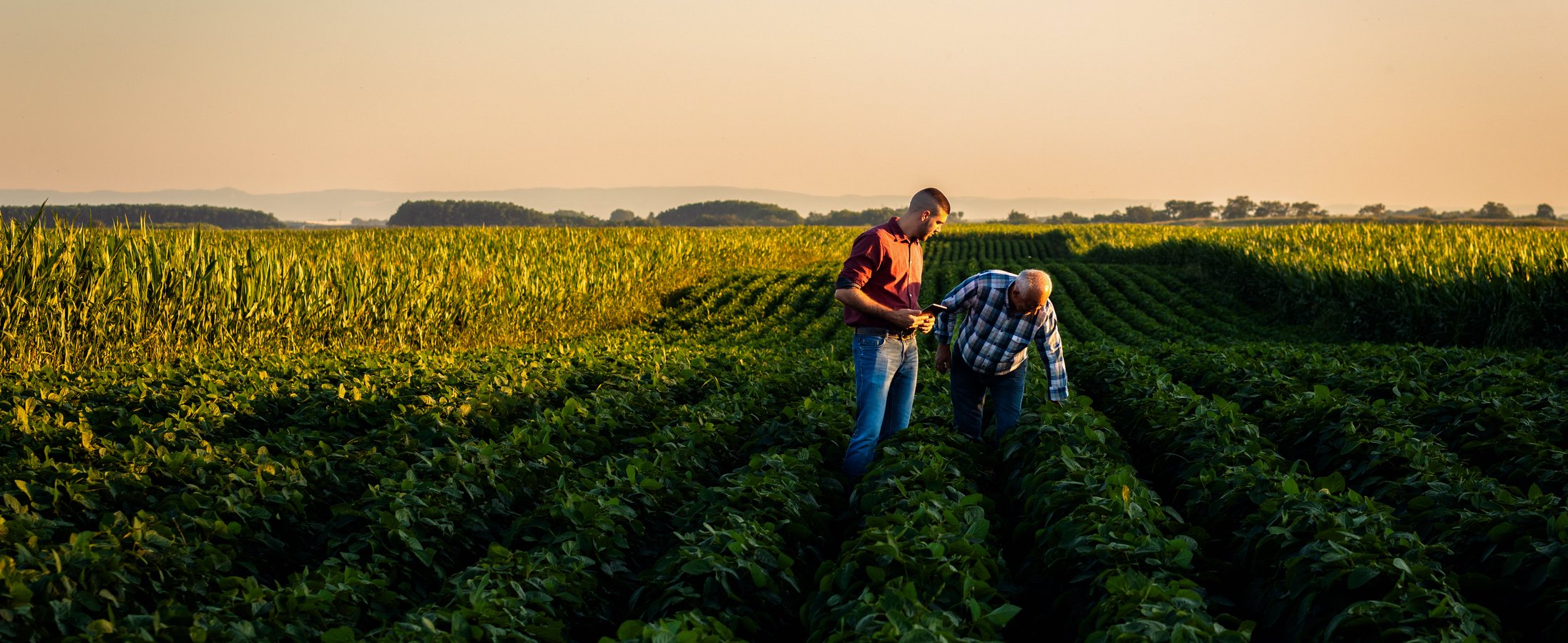 National Agriculture Day (March 24th, 2026) | Days Of The Year