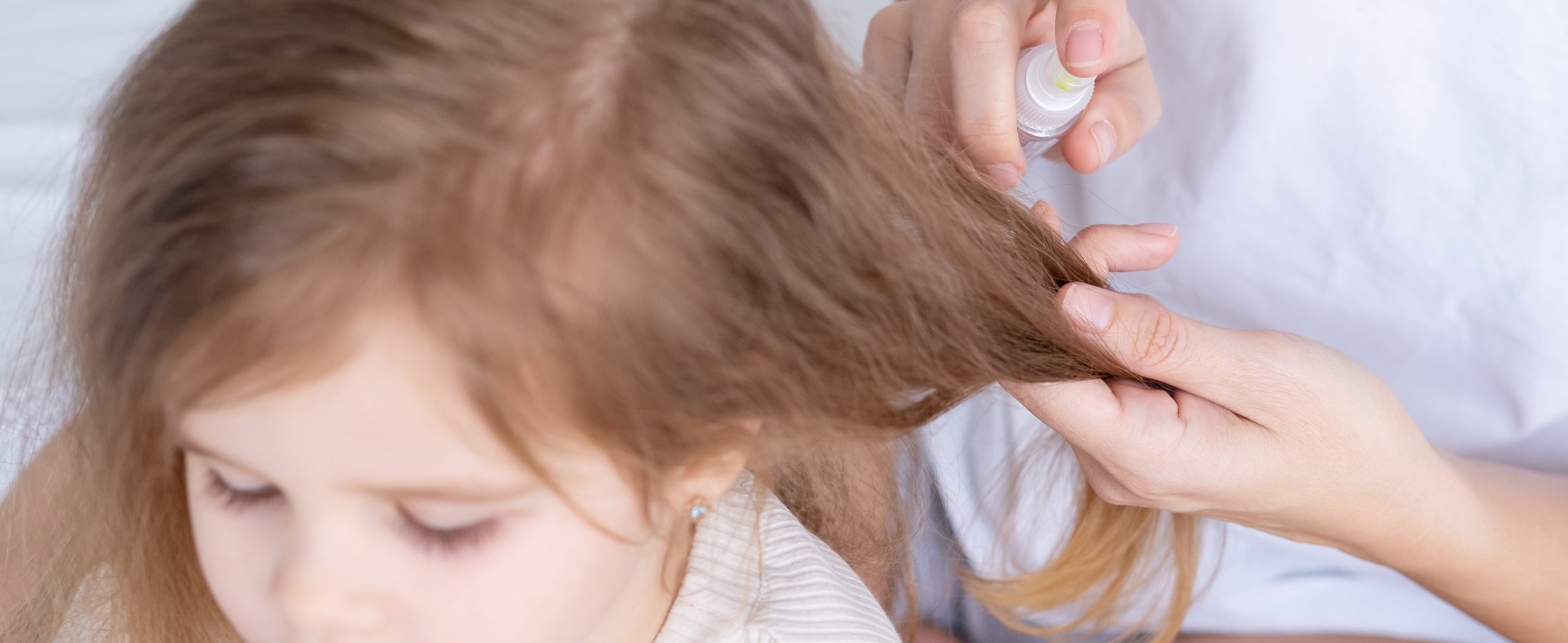 National Bug Busting Day (June 15th) | Days Of The Year