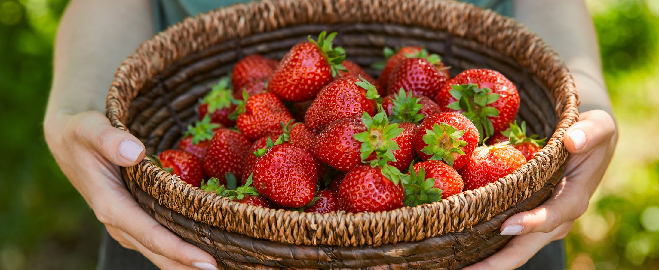 National California Strawberry Day (March 21st) | Days Of The Year