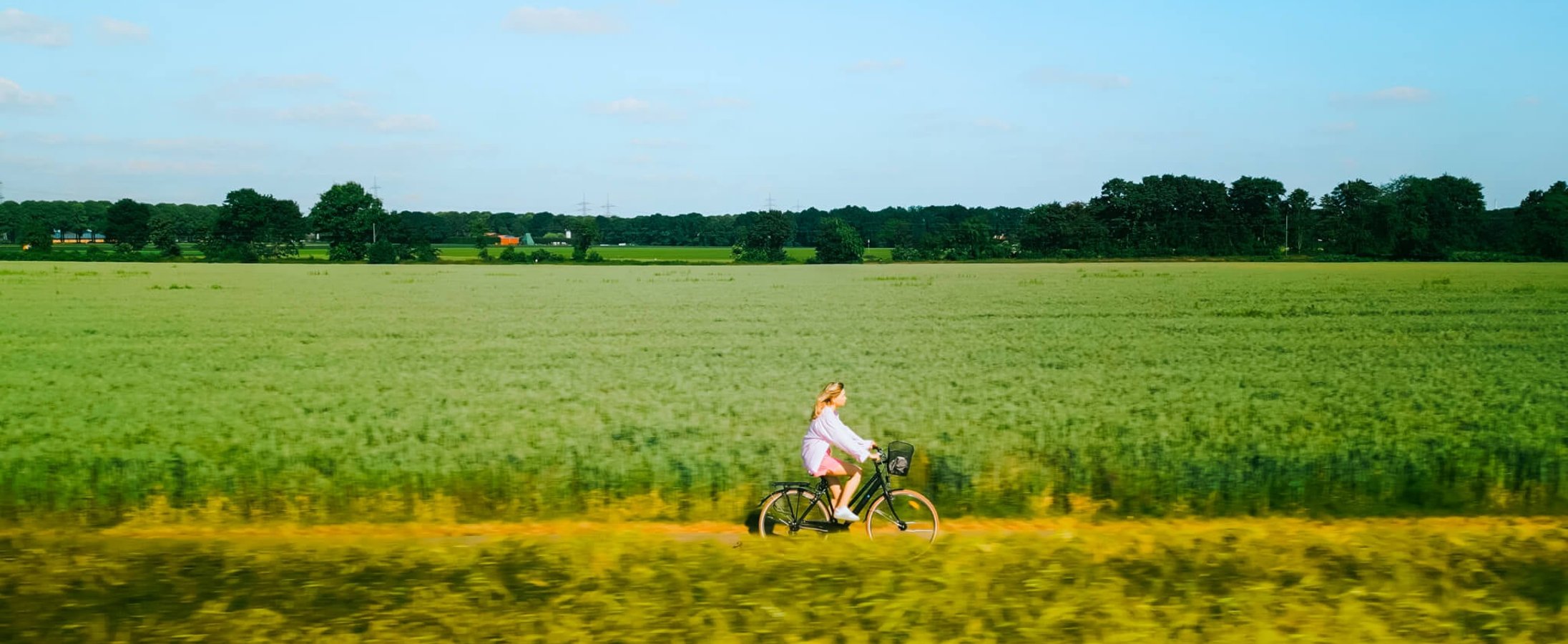 National Green City Day (October 1st) | Days Of The Year