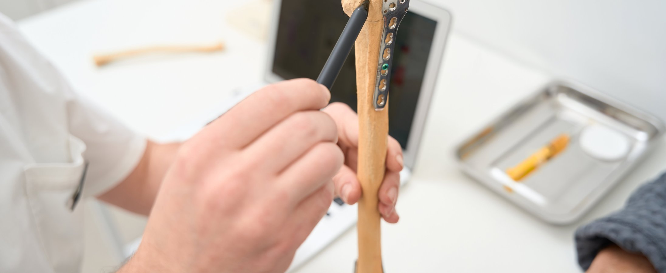 National Marrow Awareness Month (November 2025) | Days Of The Year