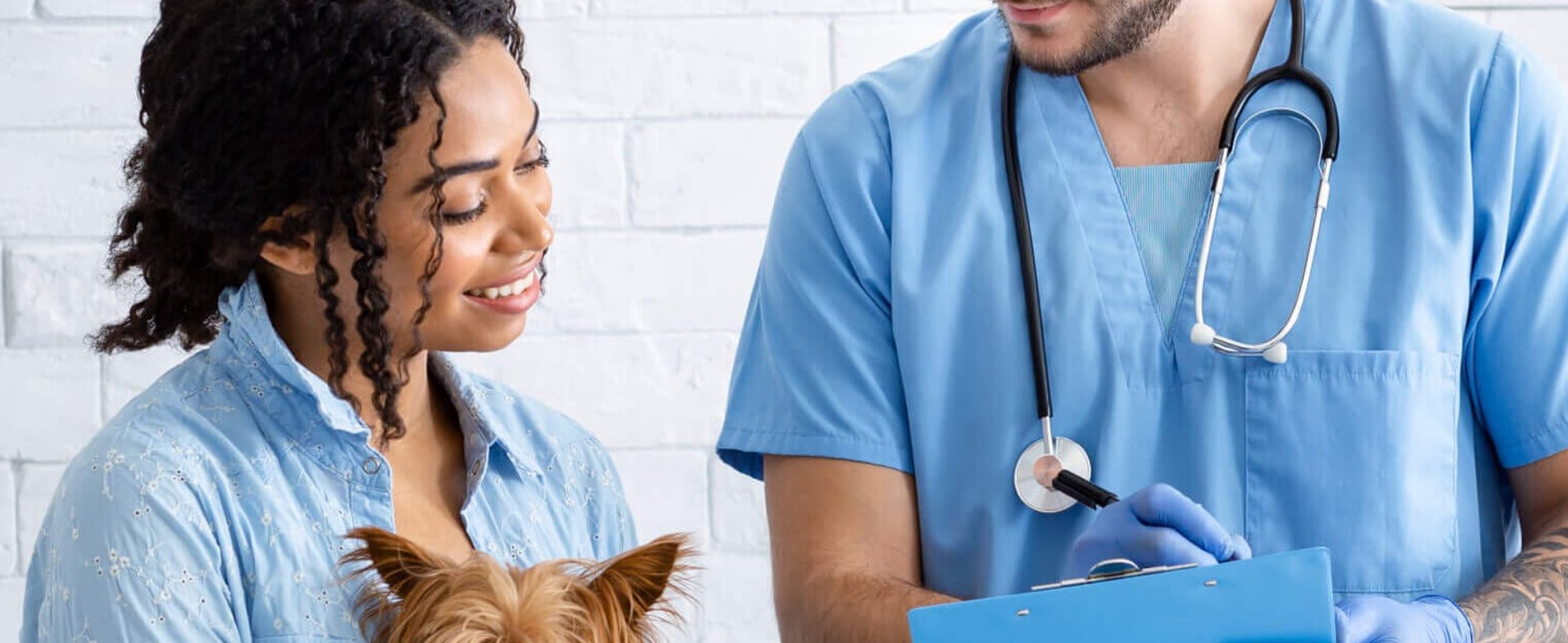 National Pet Insurance Month (September 2025) | Days Of The Year