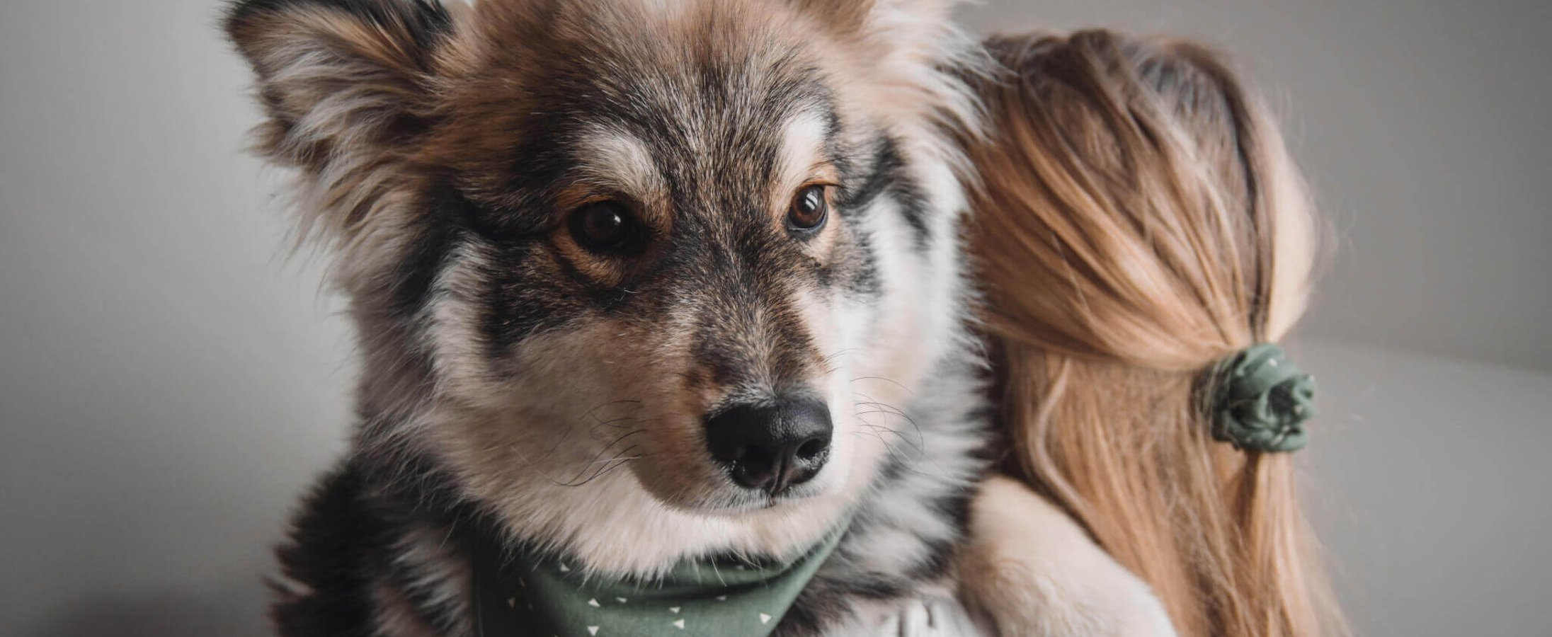 National Pet Month (May 2026) | Days Of The Year