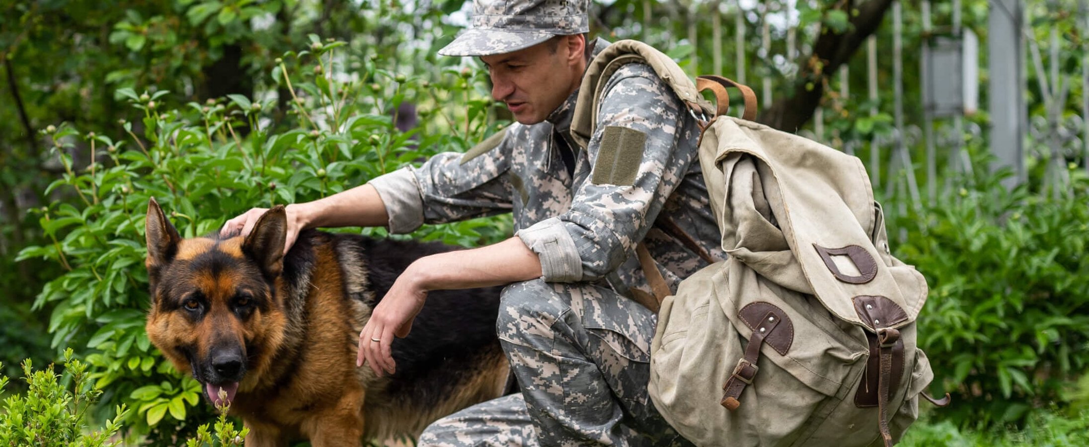 National Pets for Veterans Day (October 21st) | Days Of The Year