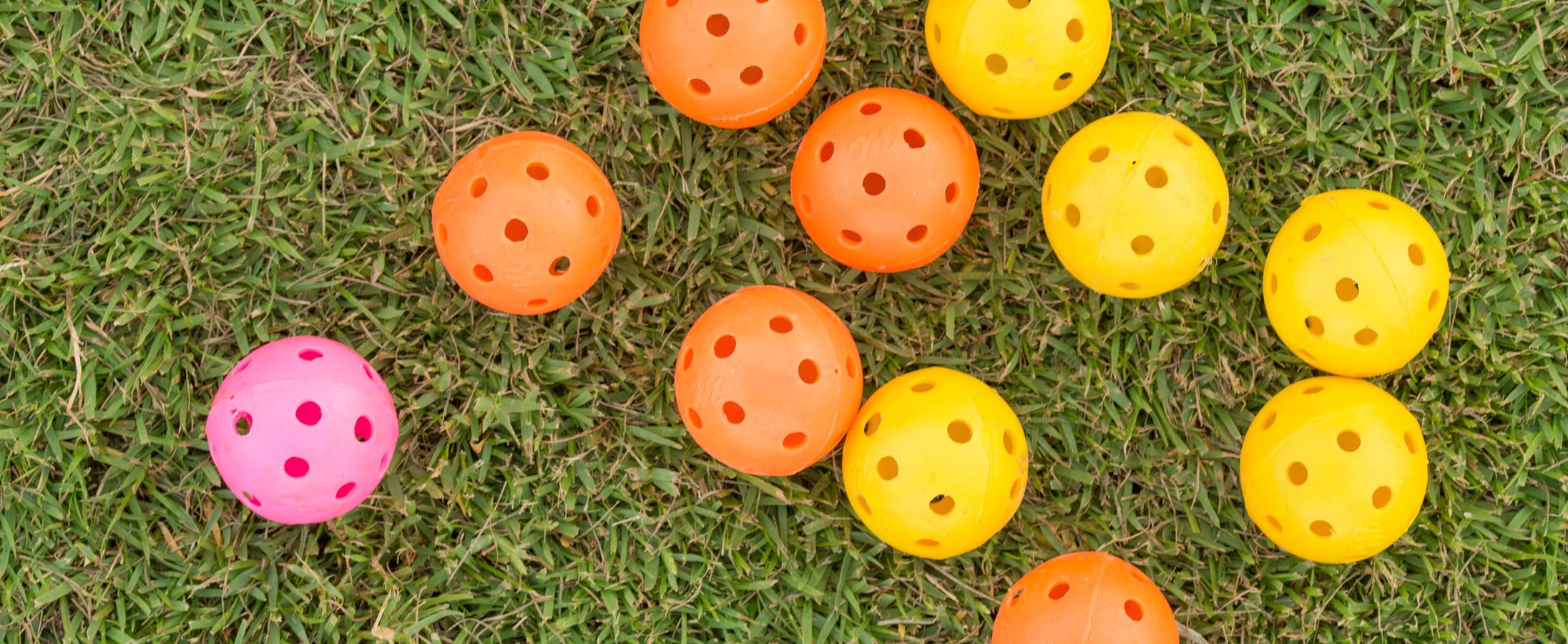 National Wiffle Ball Day (July 20th) | Days Of The Year