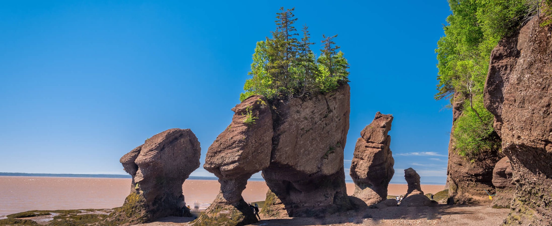 New Brunswick Day (August 3rd, 2026) | Days Of The Year