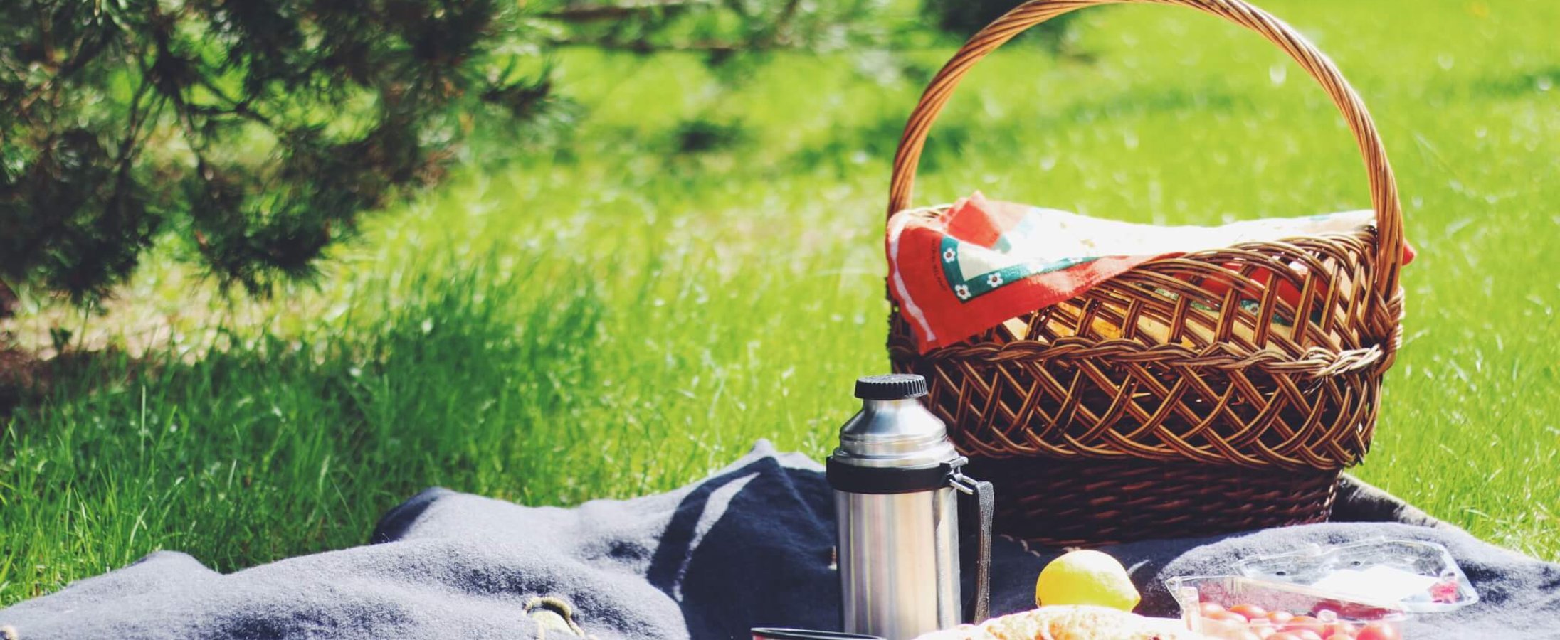 National Picnic Day (April 23rd) | Days Of The Year