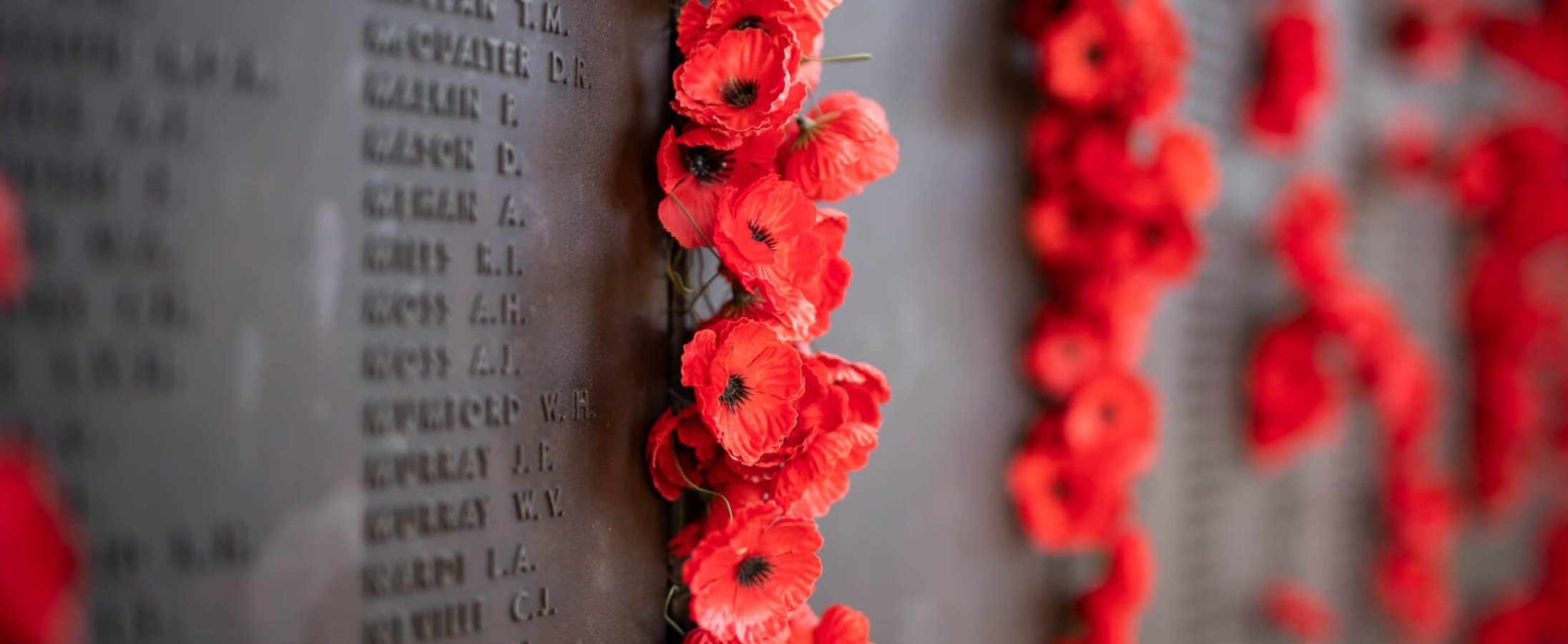 Remembrance Sunday (November 9th, 2025) | Days Of The Year