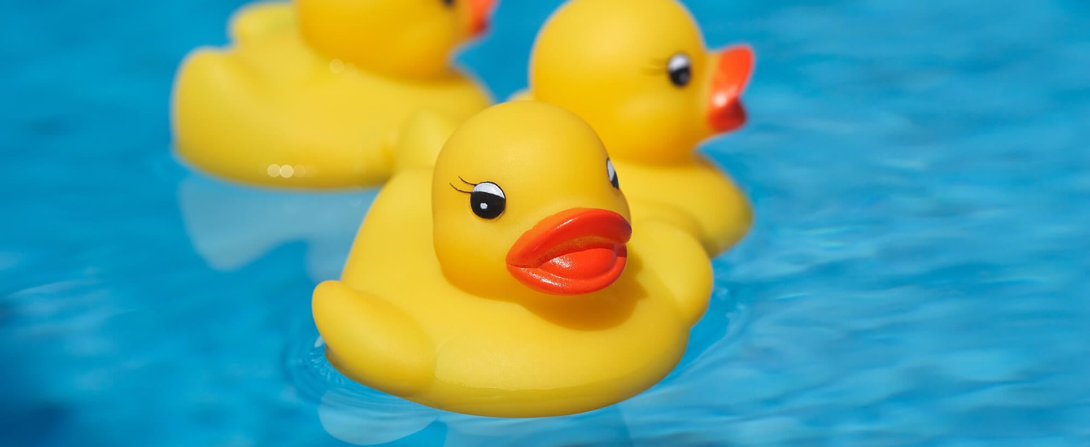 National Rubber Ducky Day (January 13th) | Days Of The Year