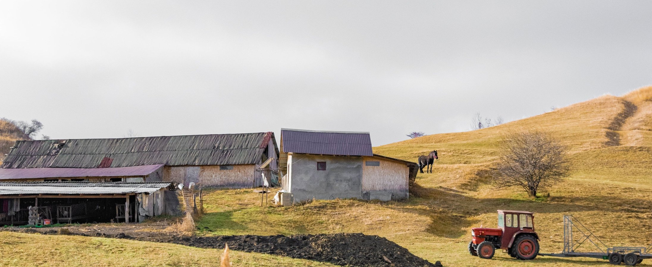 Rural Life Sunday (May 17th, 2026) | Days Of The Year