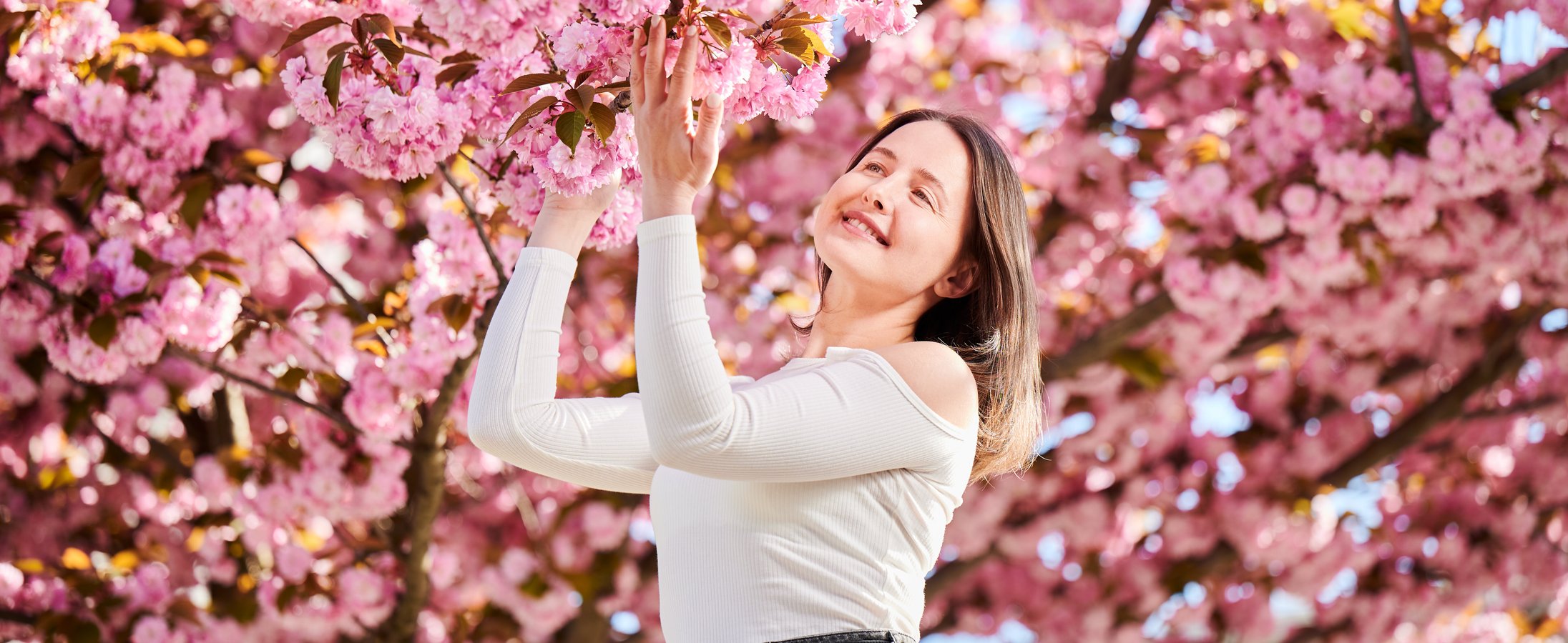 Spring Begins (March 20th) | Days Of The Year